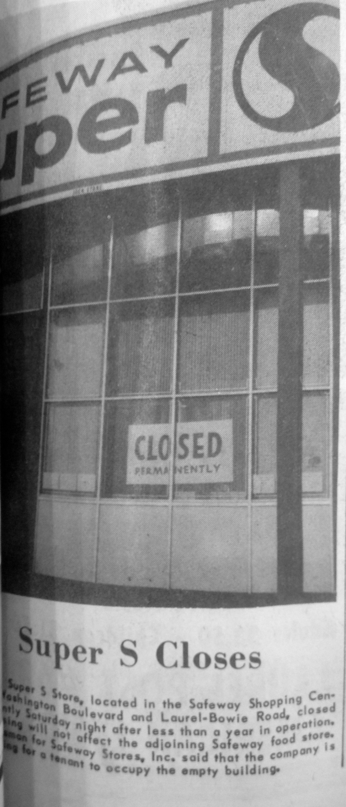 Dart Drug | Lost Laurel